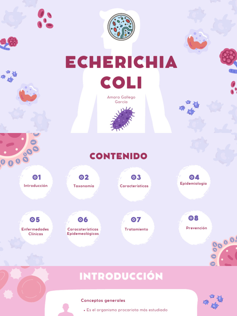 Bacteria E.Coli | PDF | Escherichia coli | Especialidades Medicas
