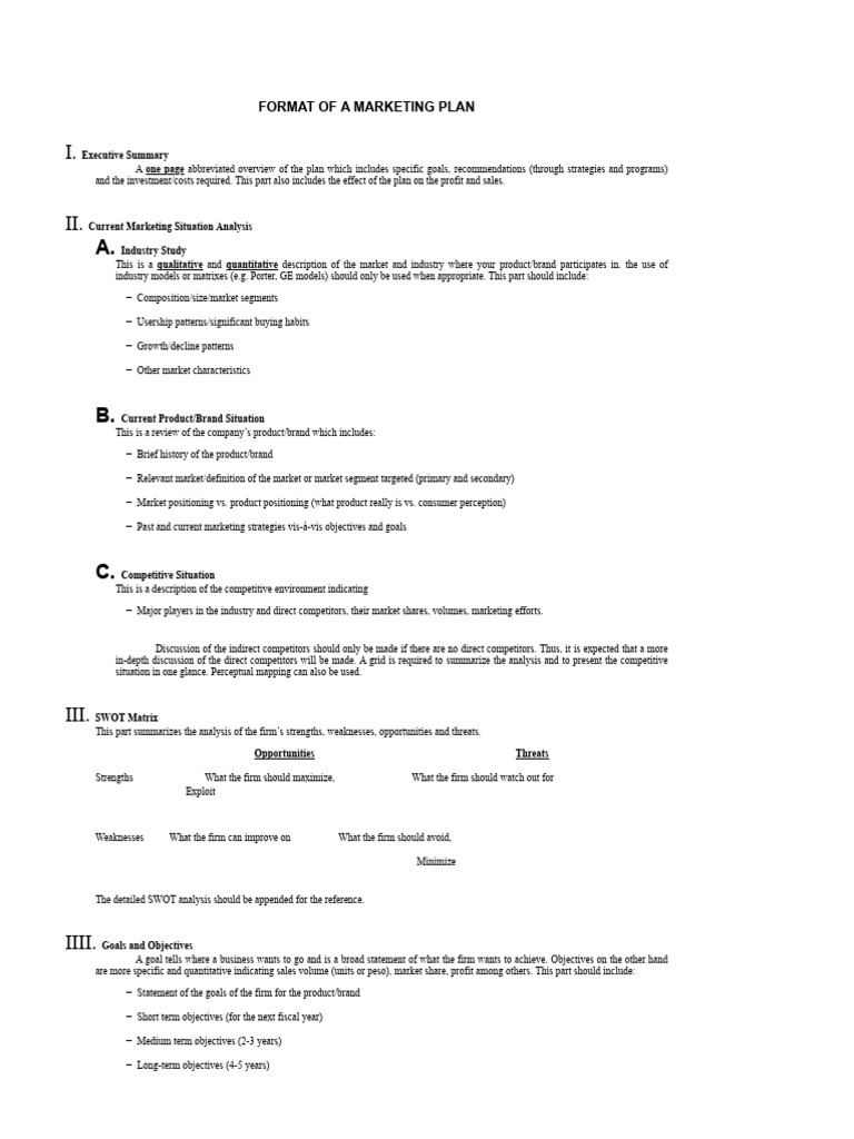 Marketing Plan Structure Guide | PDF | Marketing | Brand