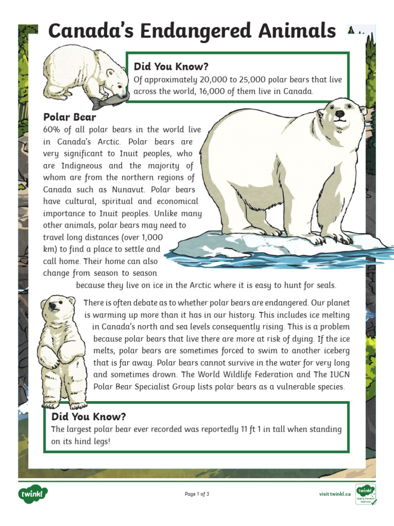 Canada Endangered Animals | PDF | Polar Bear | Whales