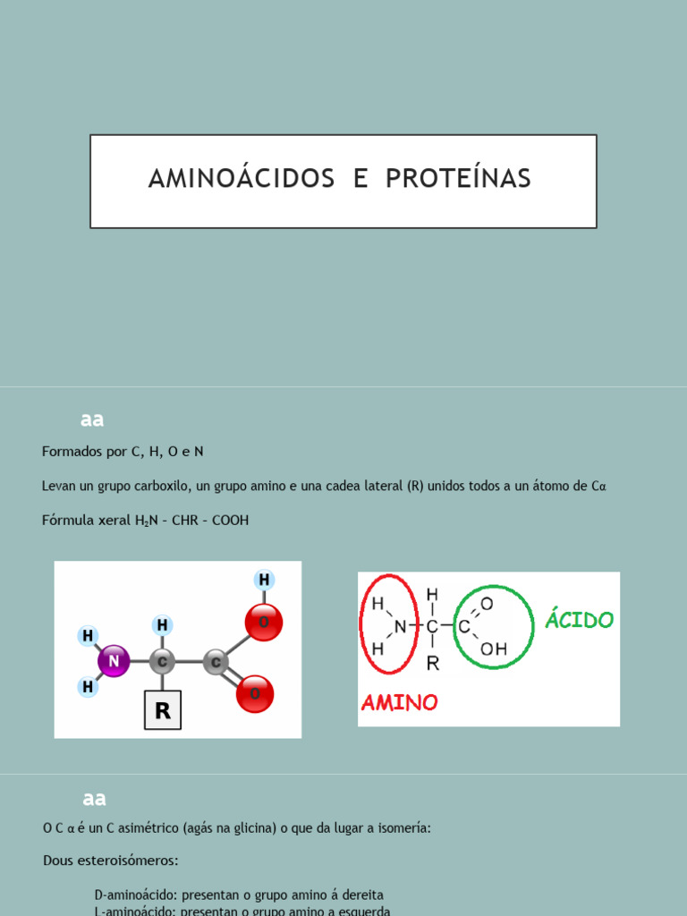 Prot | PDF