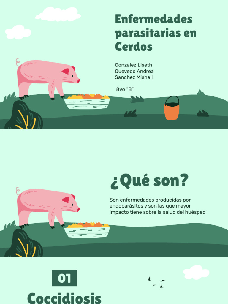 Enfermedades Parasitarias en Cerdos | PDF | Causas de la muerte ...