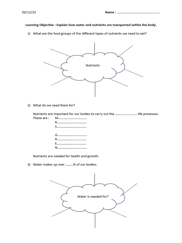 Worksheet - Merged (2) - Organized | PDF | Small Intestine ...