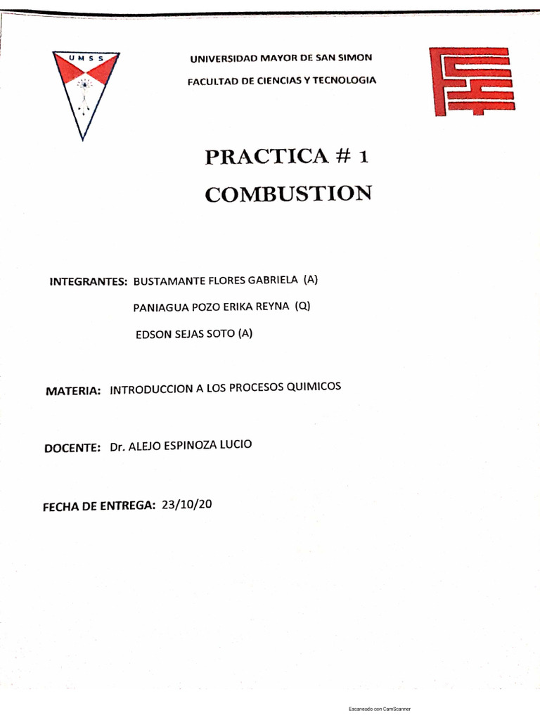 Practica 1 Combustión | PDF