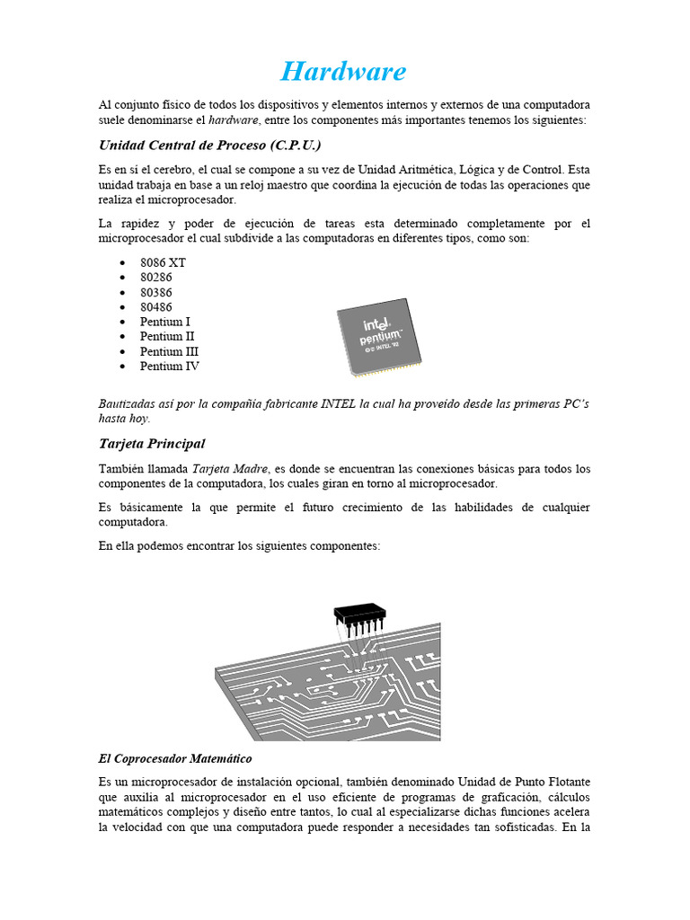 Hardware para Sexto de Primaria | PDF | Hardware de la computadora | Microprocesador