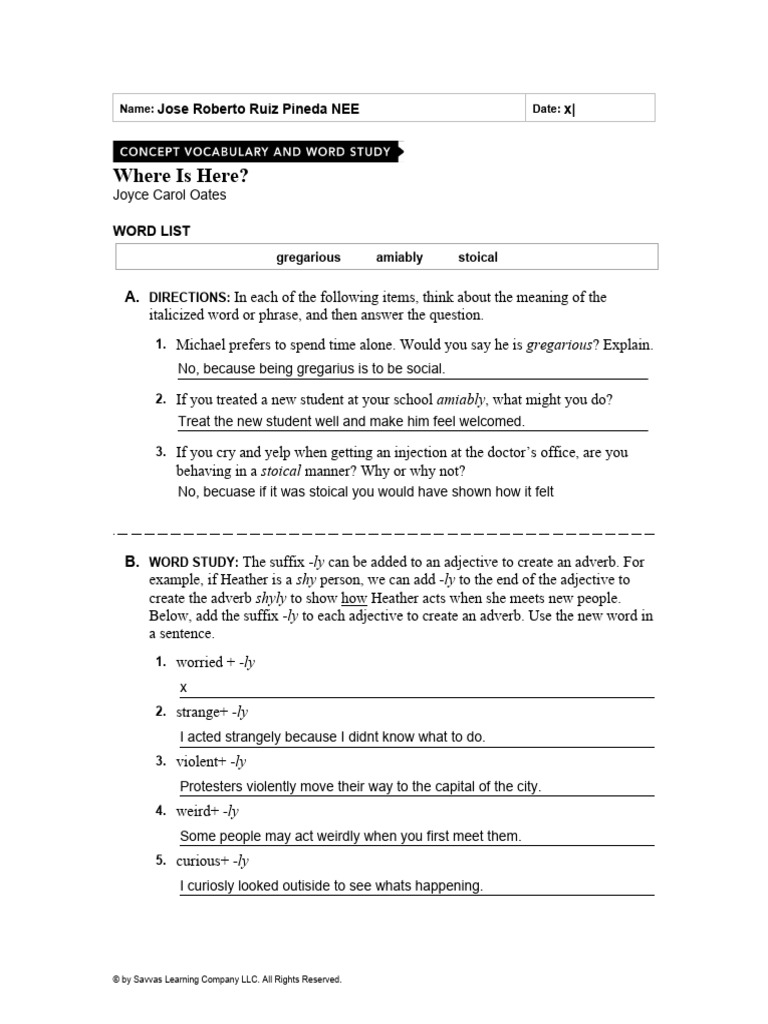 COncept VOcabulary and Word Study WHere Is Here | PDF