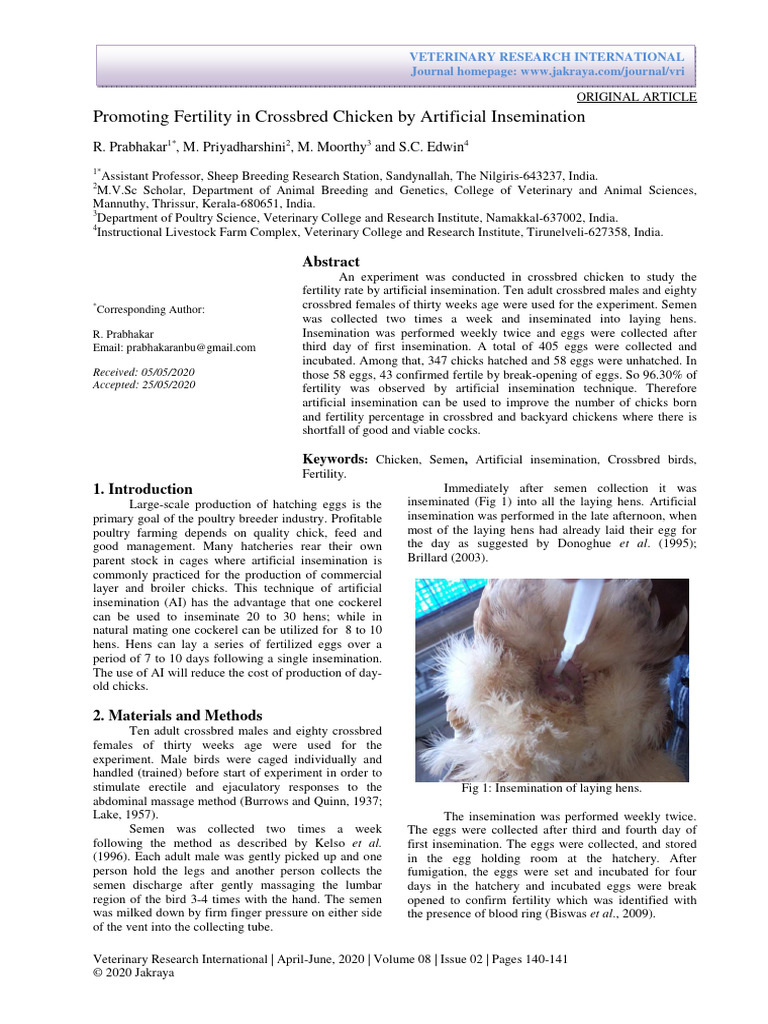 Promoting Fertility in Crossbred Chicken by Artificial Insemination ...