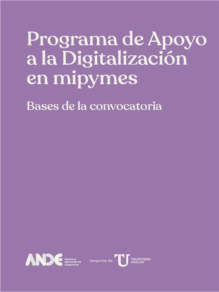 Bases Pro-Digital Final | PDF | Pequeñas y medianas empresas | Business