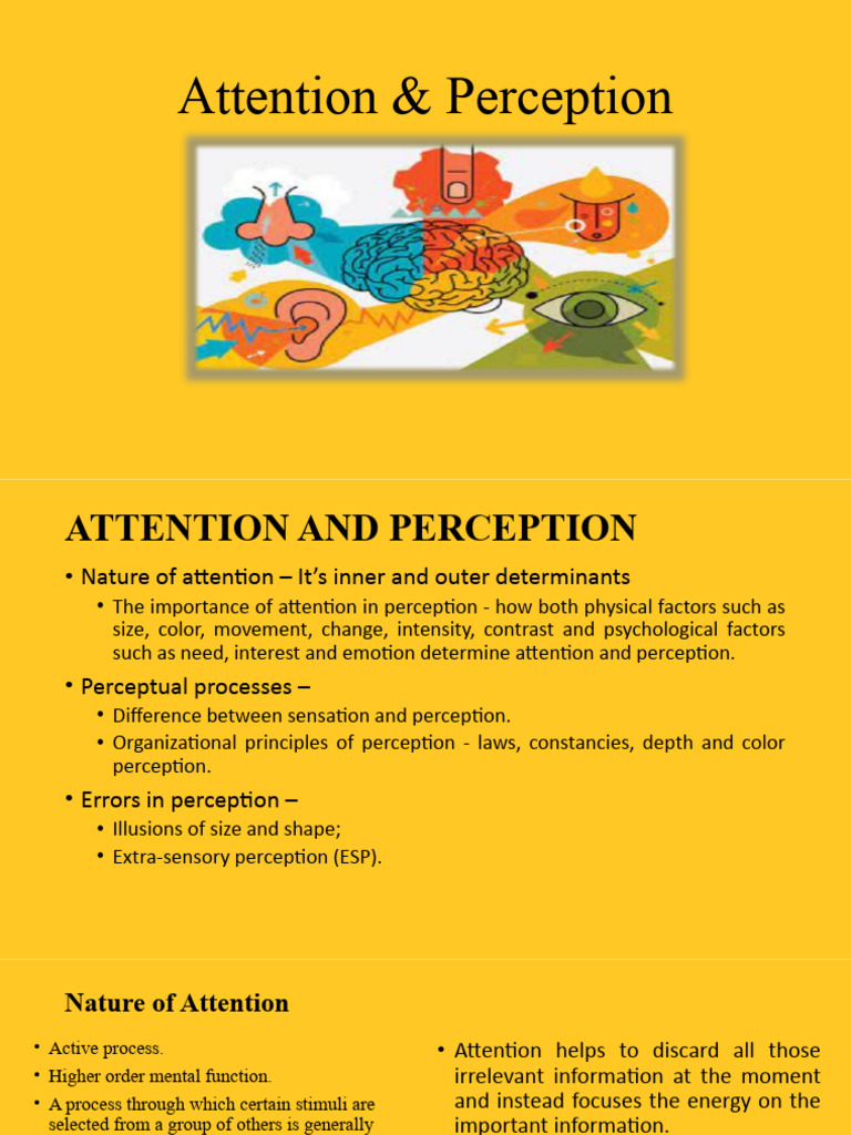 Attention and Perception | PDF | Color | Perception