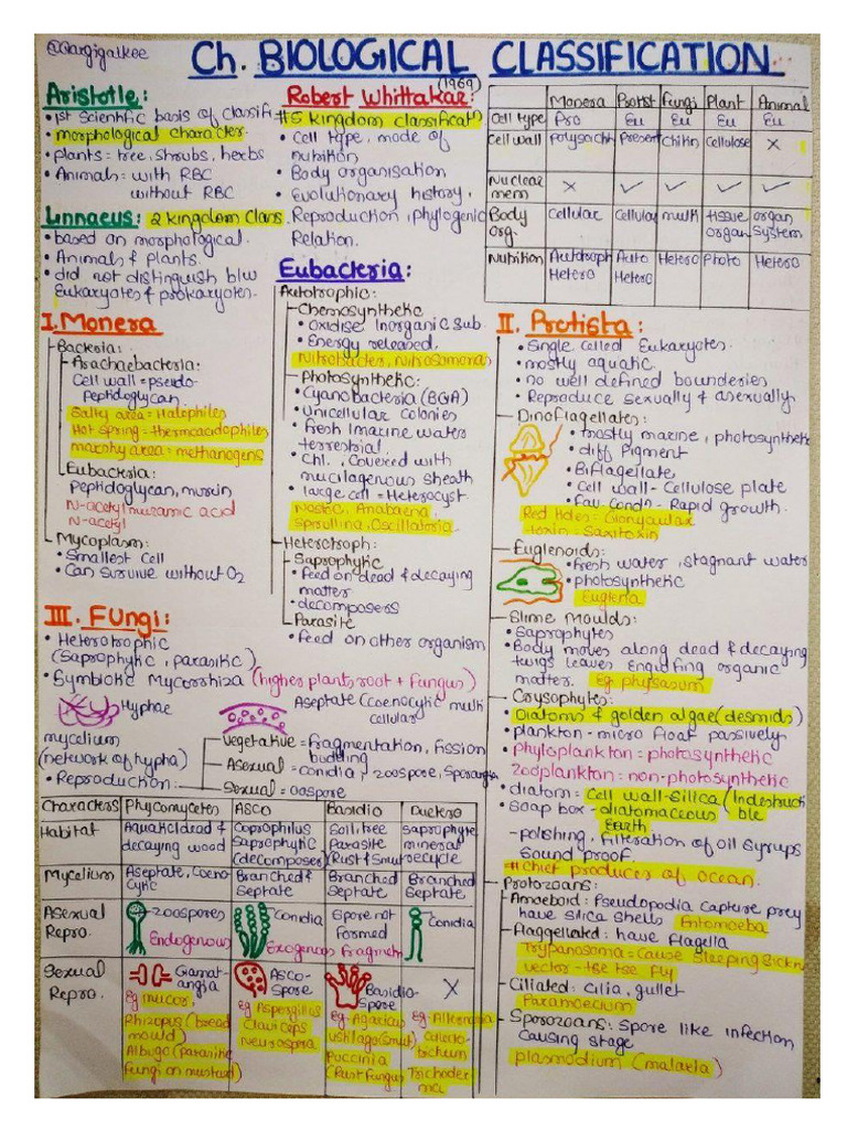 Biological Classification | PDF