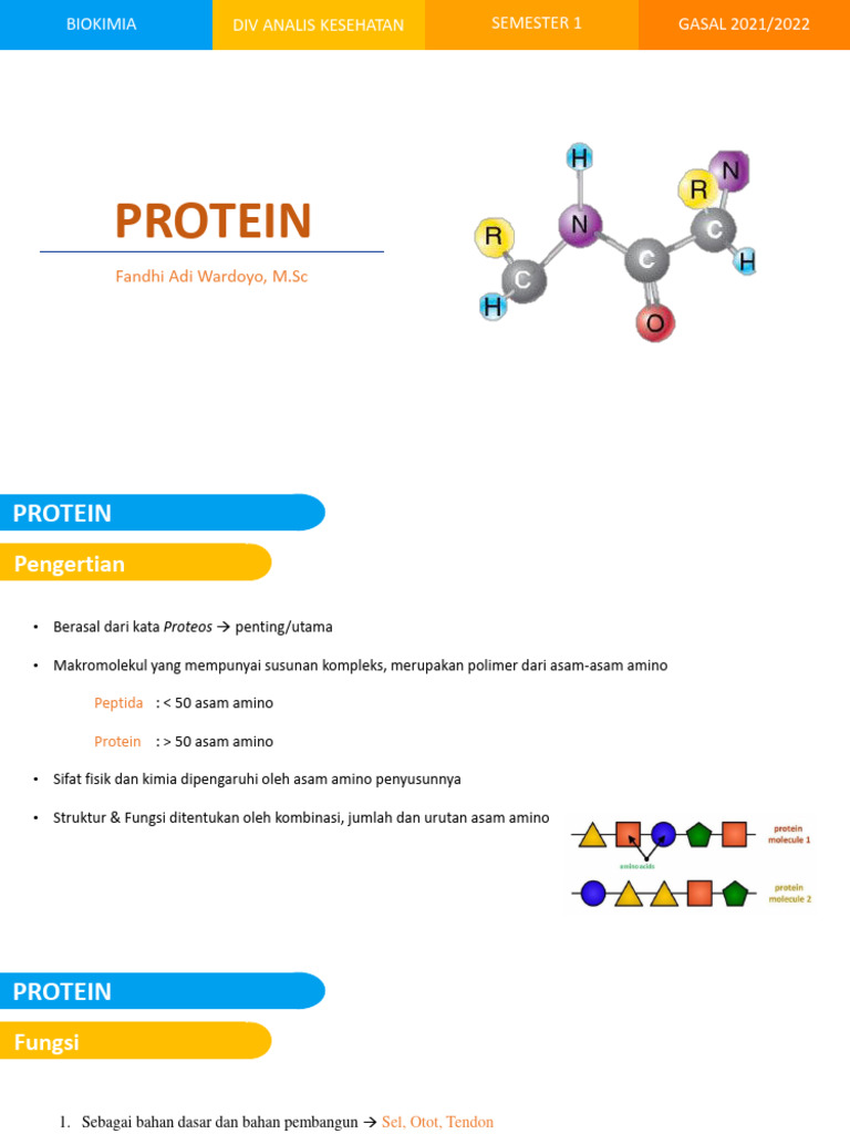 Biokimia - Protein | PDF