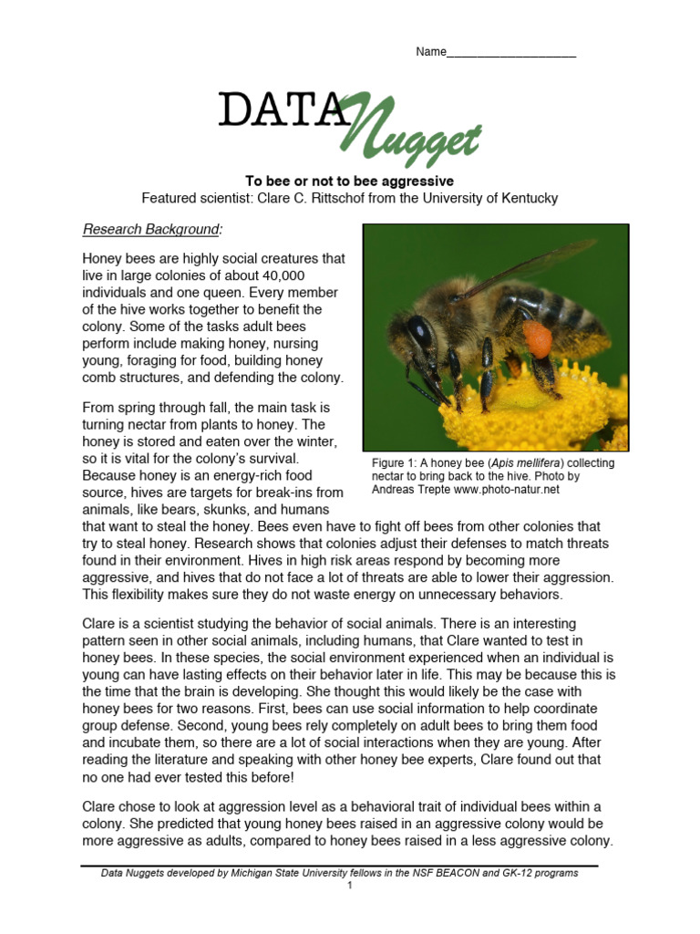 Bee Aggressive StudentA | Download Free PDF | Honey Bee | Honey