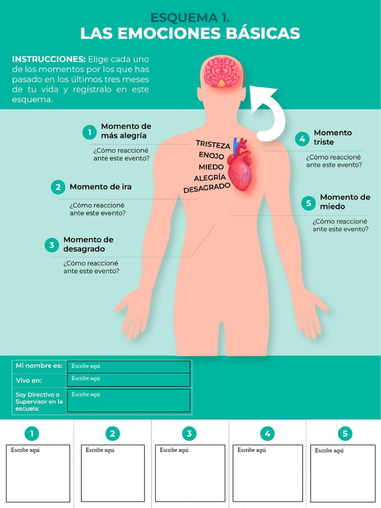 Esquema 1. Las Emociones Basicas. | PDF