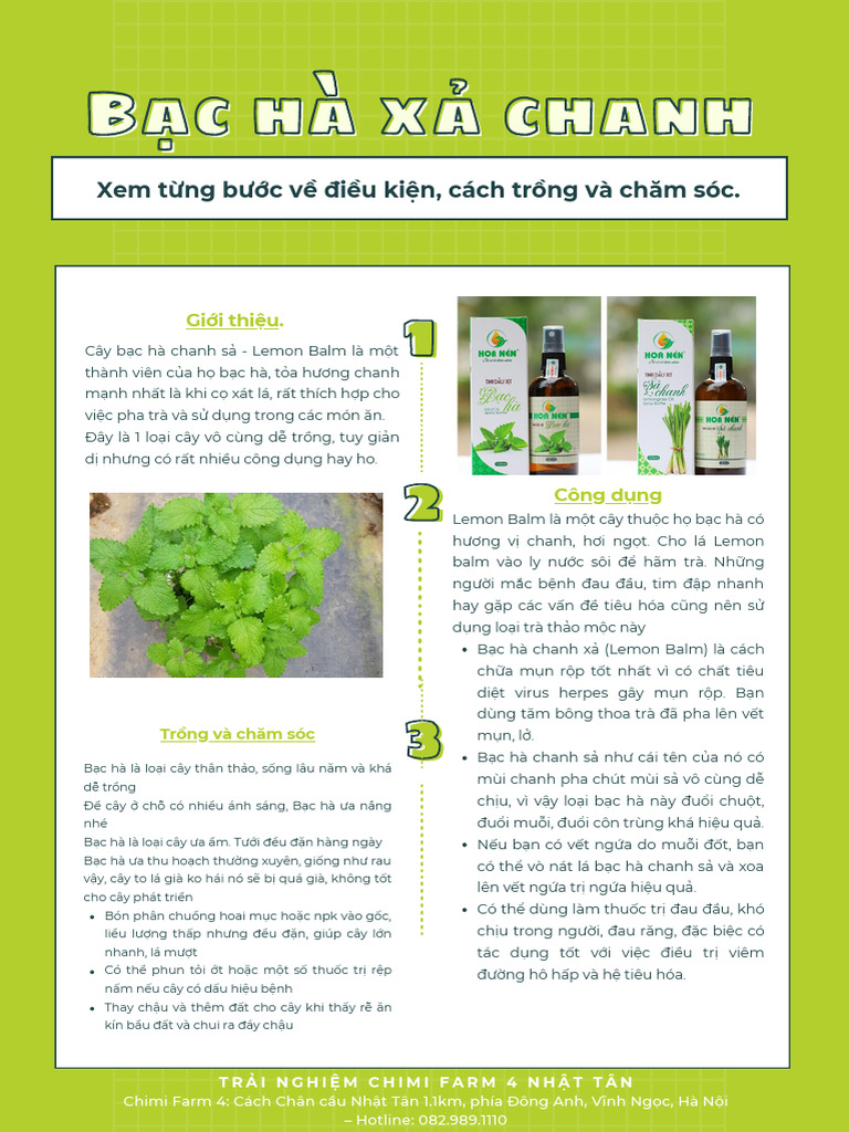 Quang H P 101 (148 × 210 PX) | PDF