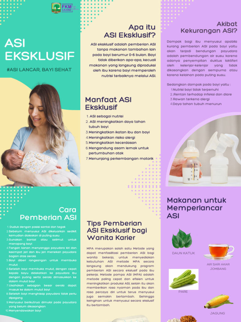 Leaflet ASI Eksklusif | PDF