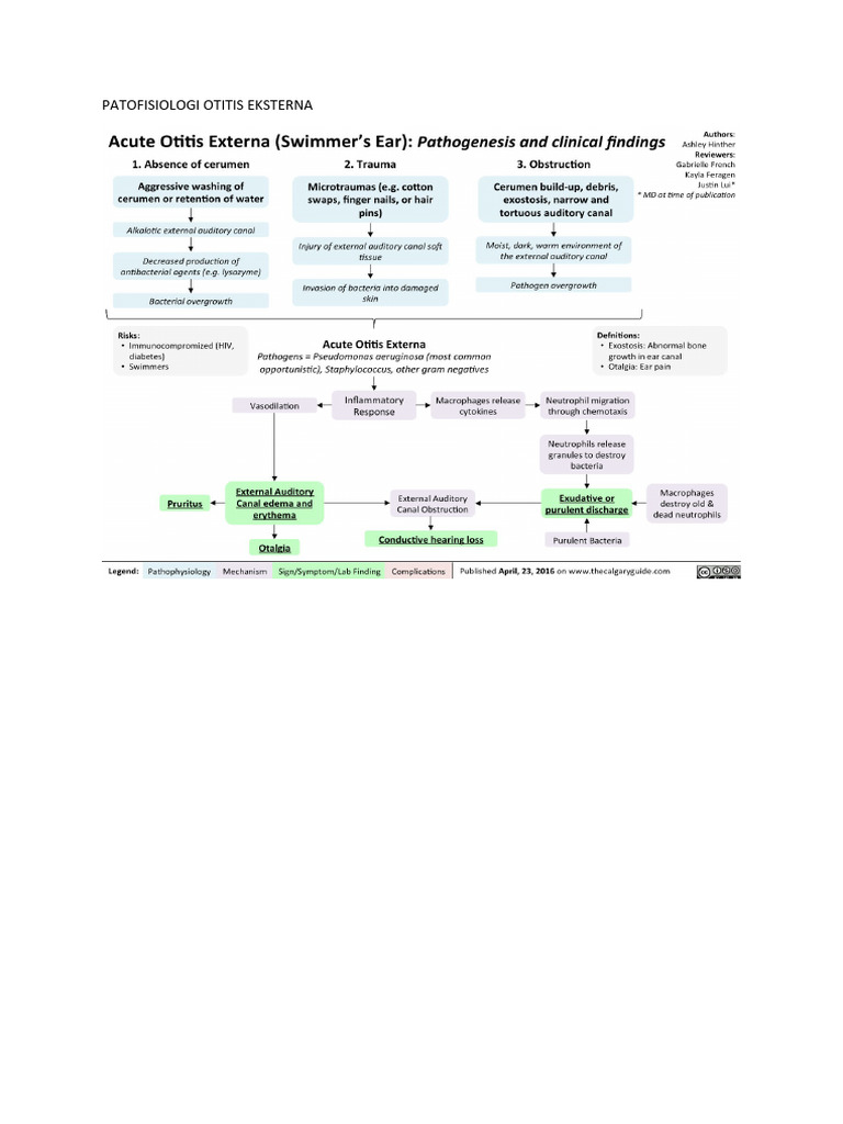 Patofisiologi Otitis Eksterna | PDF