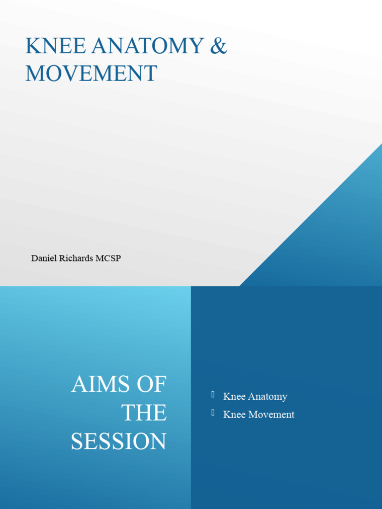 Knee Anatomy | PDF | Knee | Musculoskeletal System