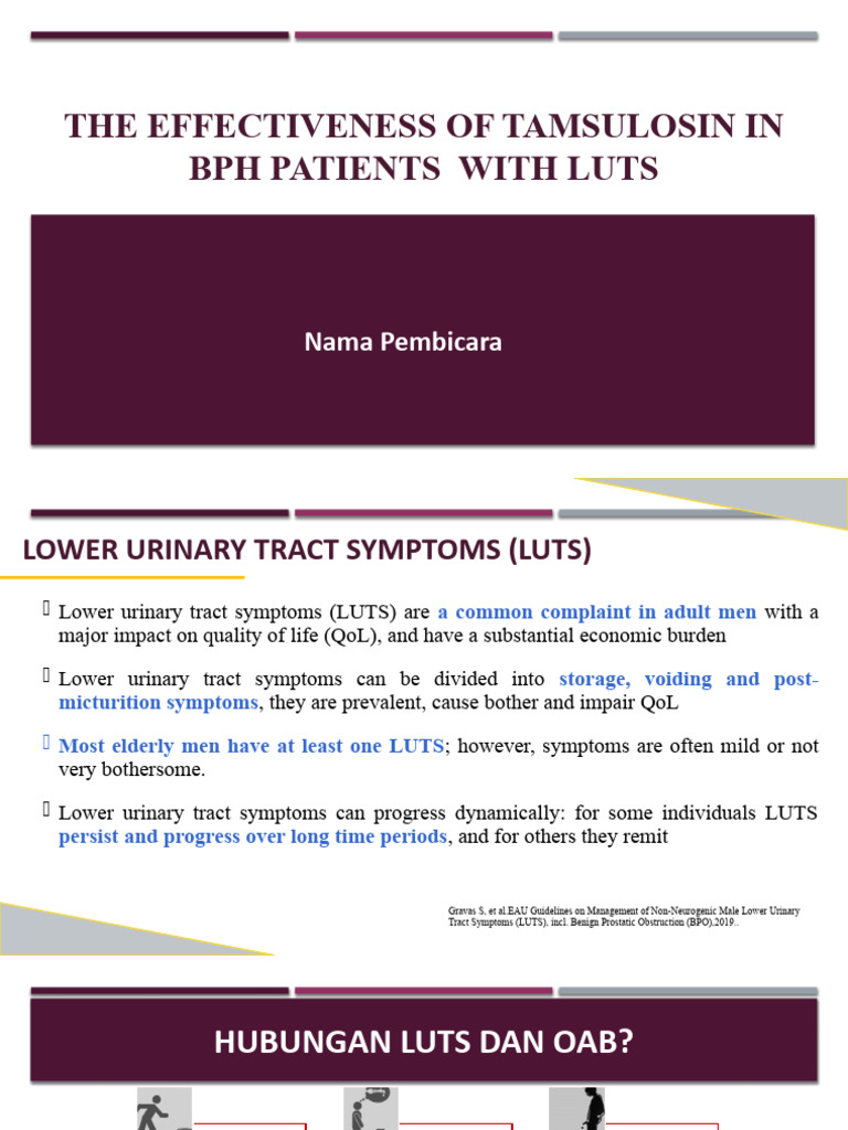 FGD - The Effectiveness of Tamsulosin in BPH Patients With LUTS | PDF | Human Anatomy | Animal ...
