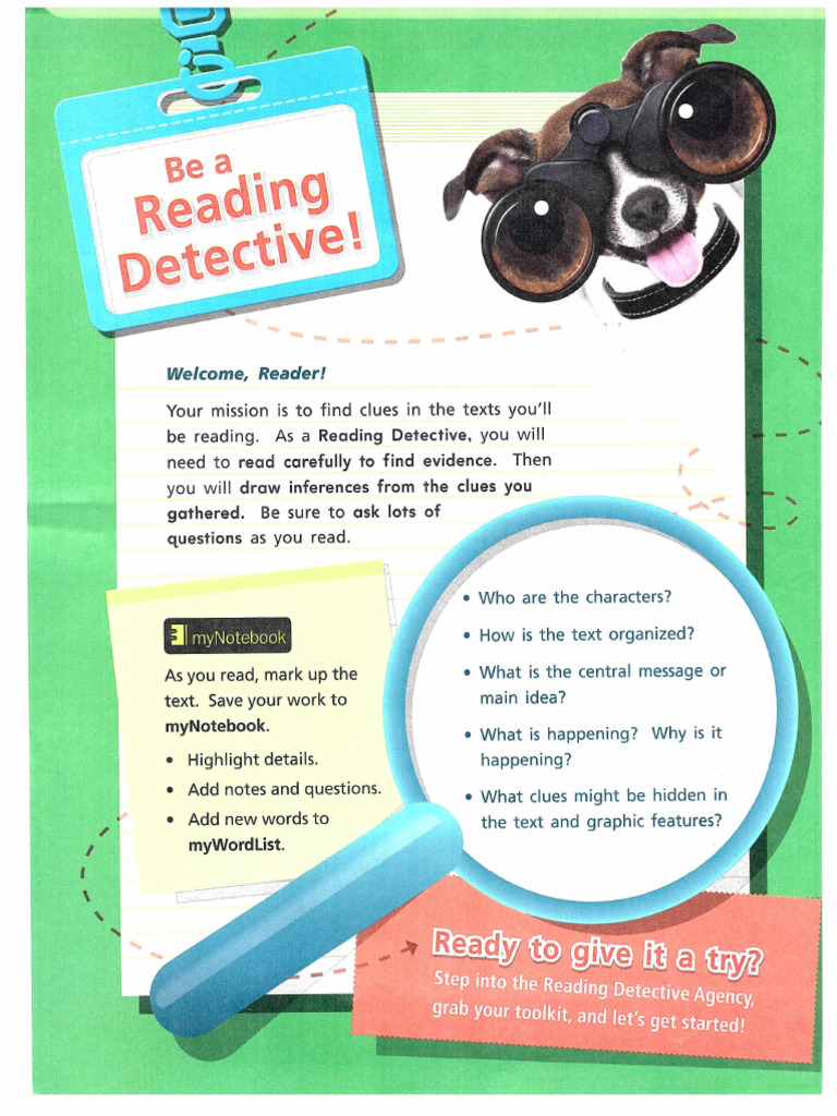 3rd Grade Lesson 16 Judy Moody | PDF