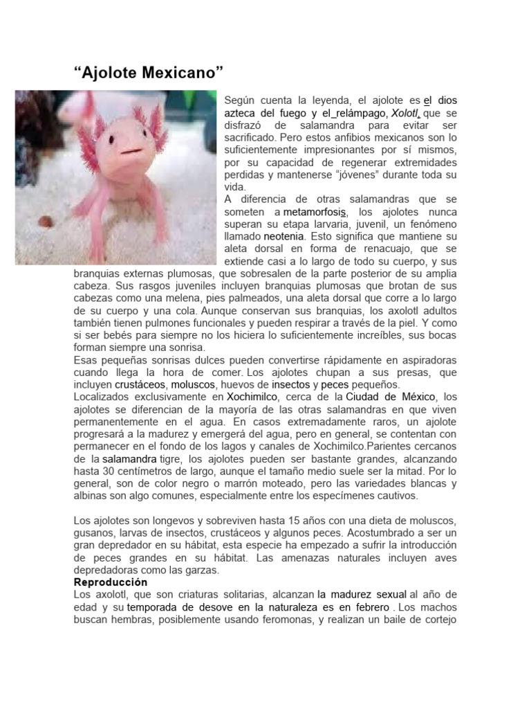 Ajolote Mexicano Historia | PDF