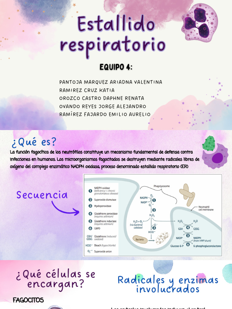 Estallido Respiratorio | PDF