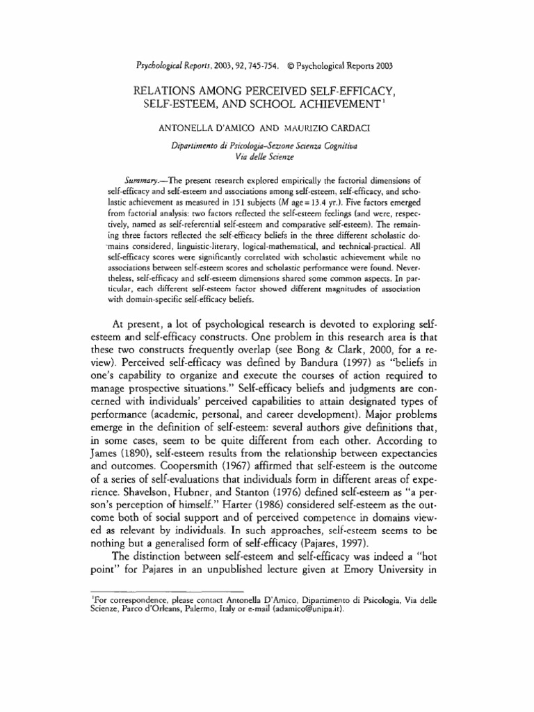 Mauri Zo | PDF | Self Efficacy | Self Esteem