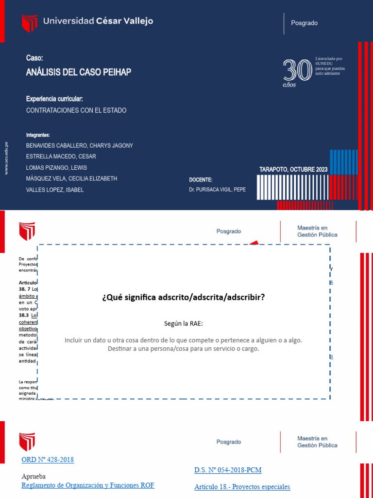 Grupo 2 - Caso Peihap | PDF | Regulación | Gobierno