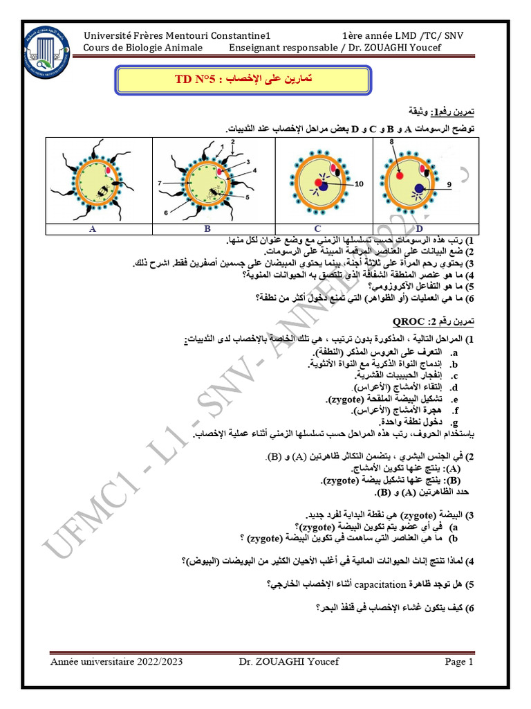 TD N°5- تمارين على الإخصاب Dr. ZOUAGHI Youcef UFMC1-2022-2023 | PDF