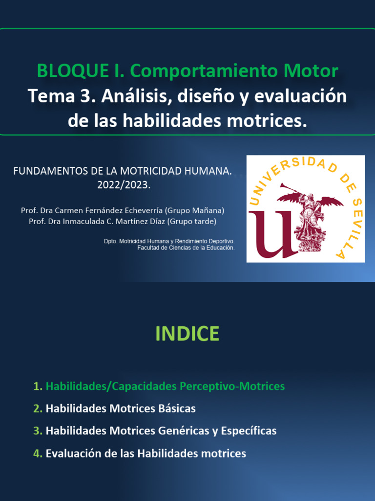 Tema 3 - 3 | PDF | Aprendizaje