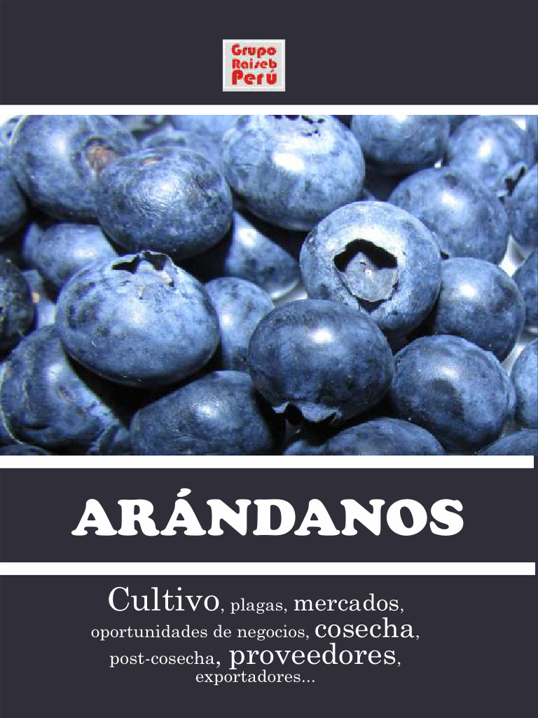 Arandanos. Cultivo, Plaga, Mercados, Cosecha, Postcosecha (Libro) | Descargar gratis PDF | Riego ...
