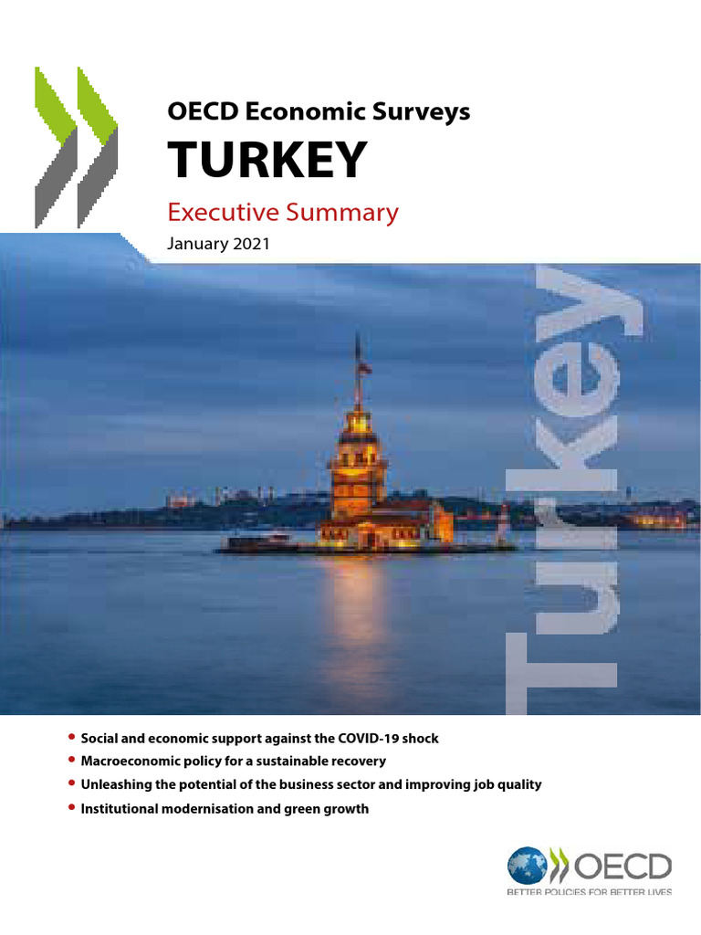 OECD - Turkey - Economic Survey Executive Summary | PDF | Monetary Policy | Fiscal Policy