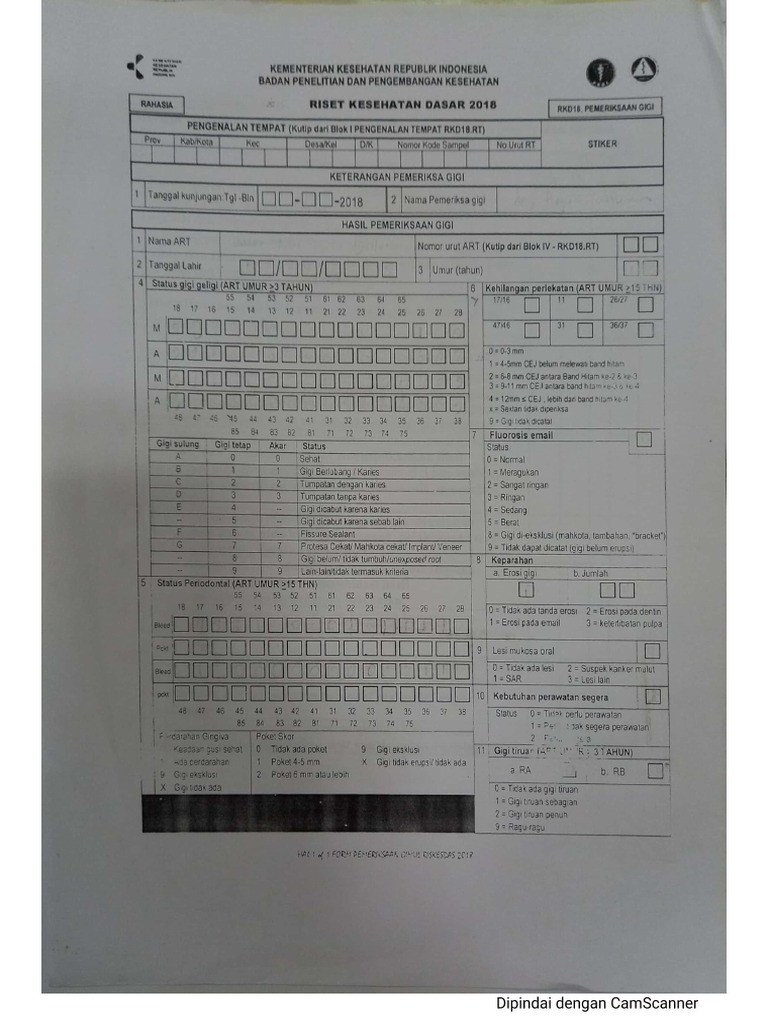 Form Riskesdas | PDF
