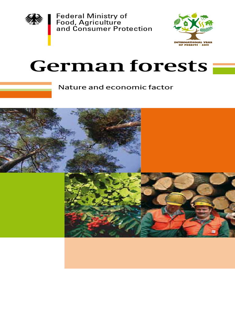 German Forests | PDF | Forestry | Forests