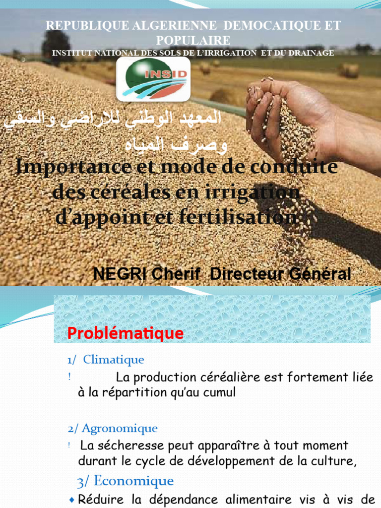 Irrigation D'appoint Contrainte Et Fertilisation | PDF | Fertilisant | Blé