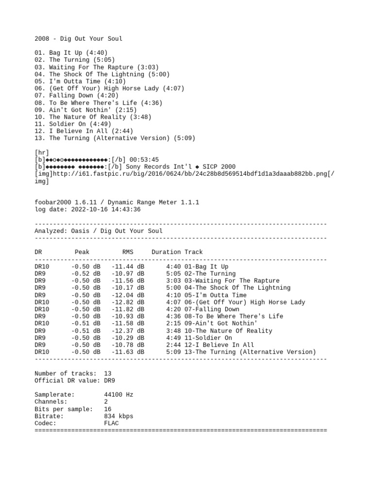 Dig Out Your Soul | PDF