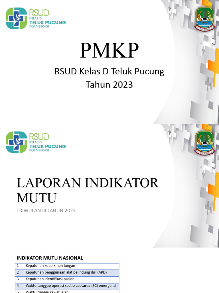 Laporan Indikator Mutu & FOCUS PDCA PMKP RSUD Kelas D Teluk Pucung | PDF