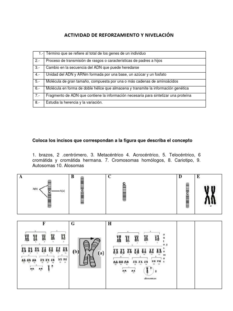 Actividad de Reforzamiento - Semana 14 | PDF | Cromosoma | Dominancia ...