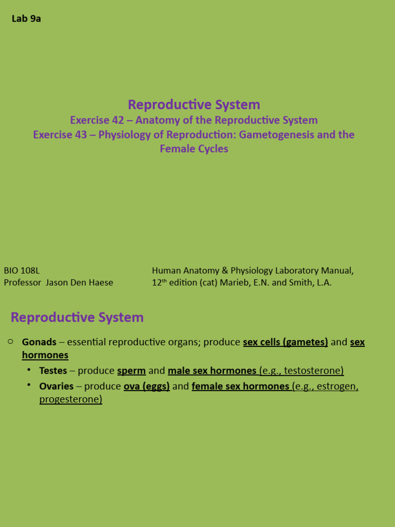 Lab 9a - Reproductive System | PDF | Uterus | Ovary