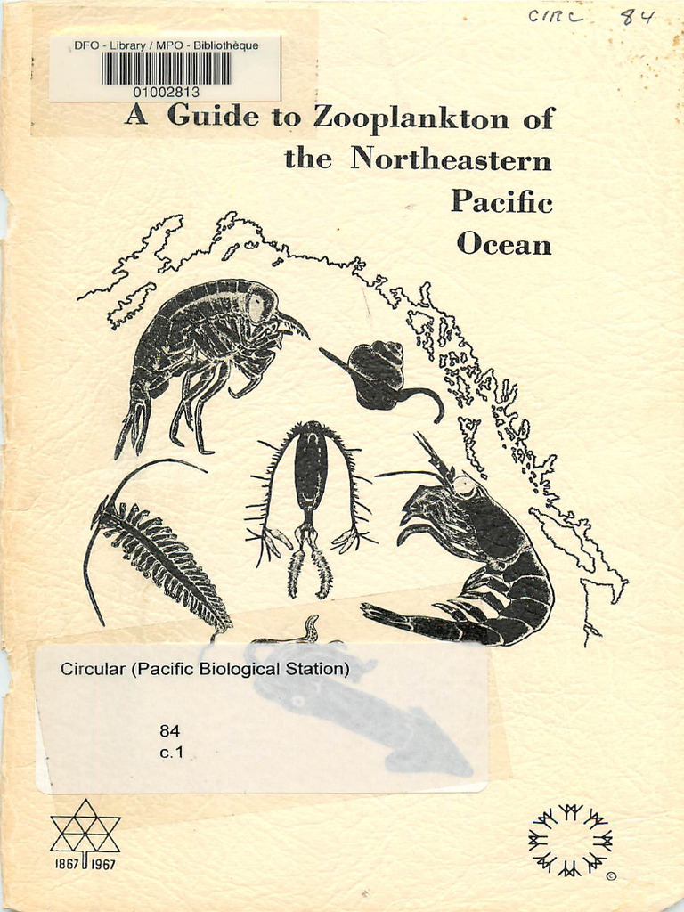 A Guide To Zooplankton Of: The Northeastern | PDF | Plankton | Food Web