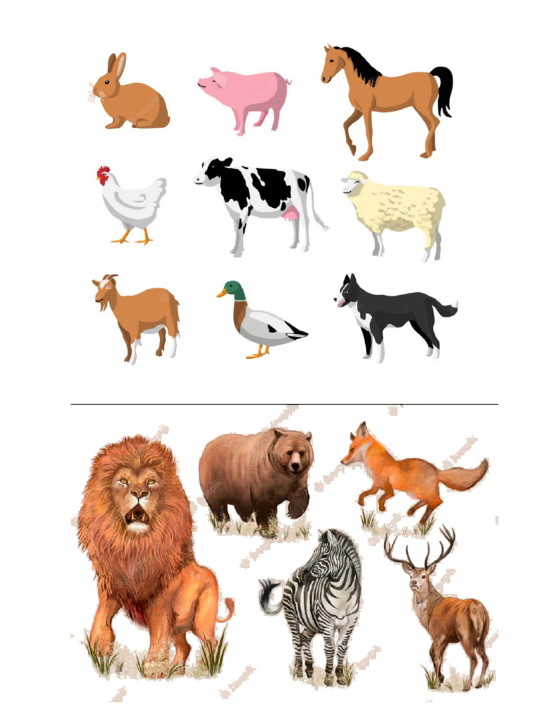 Animales Domesticos y Salvajes | PDF