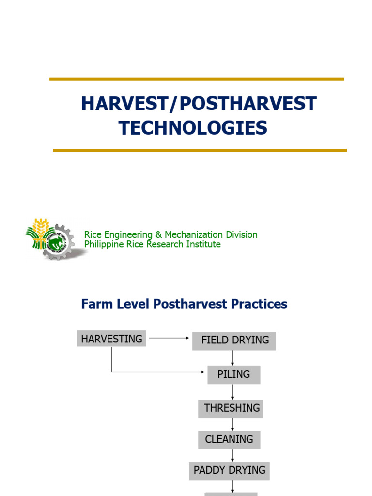 Lesson 12 Harvesting and Postharvest Management | PDF | Rice | Agriculture