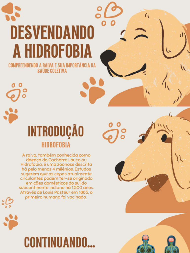 Hidrofobia - Compreendendo A Raiva e Sua Importância Na Saúde Coletiva ...