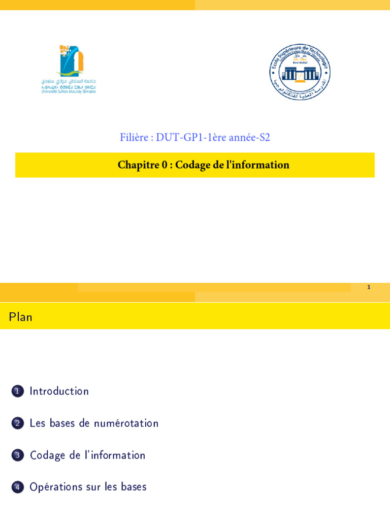 Cours Chap0 | PDF | Codage des caractères | Informatique
