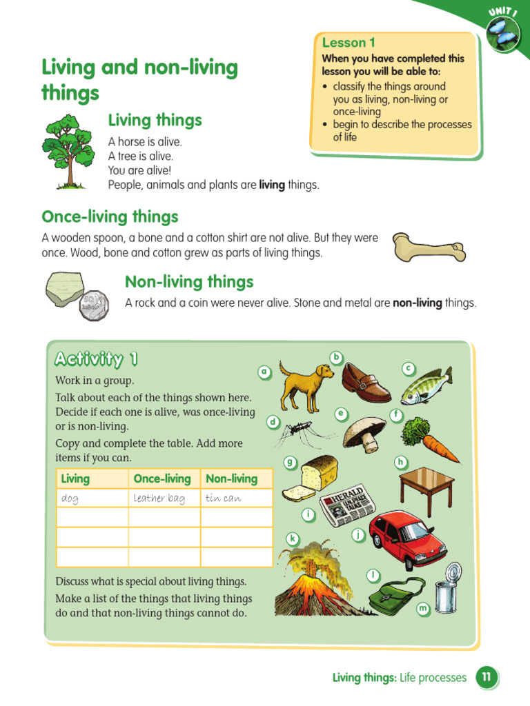 Living and Non-Living Things Explained | PDF | Nutrition | Diet & Nutrition
