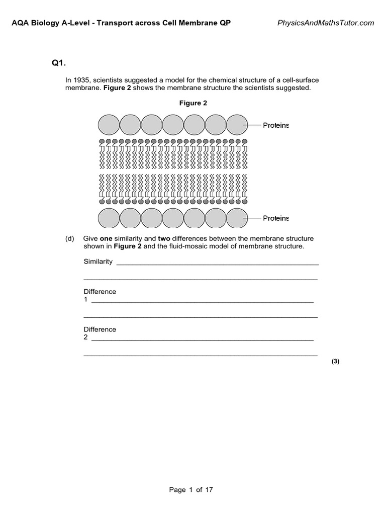 Membrane Transport Mechanisms in Cells | PDF | Cell Membrane | Osmosis