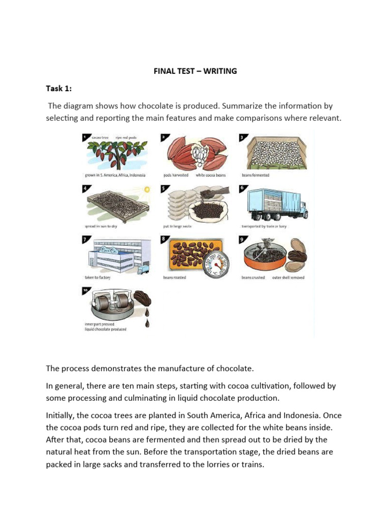 Bài CH A Writing | PDF | Chocolate | Cocoa Bean