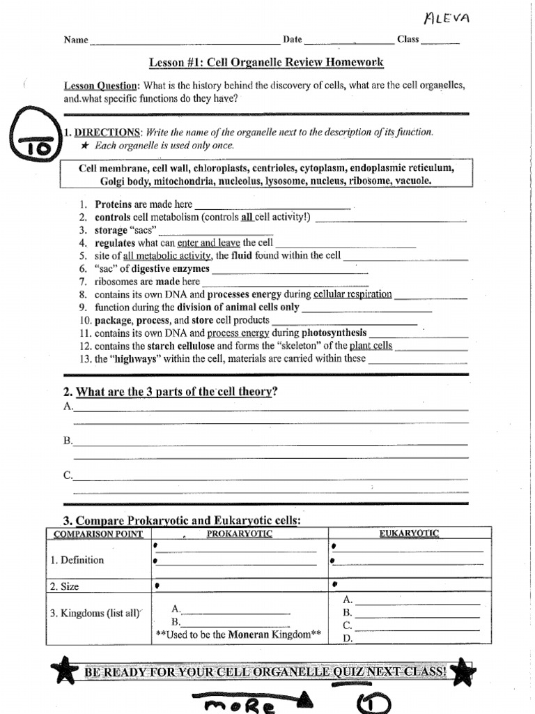 Kami Export - Jaksen Perkins - 5. Review - Cell Organelle Lesson (Aleva ...