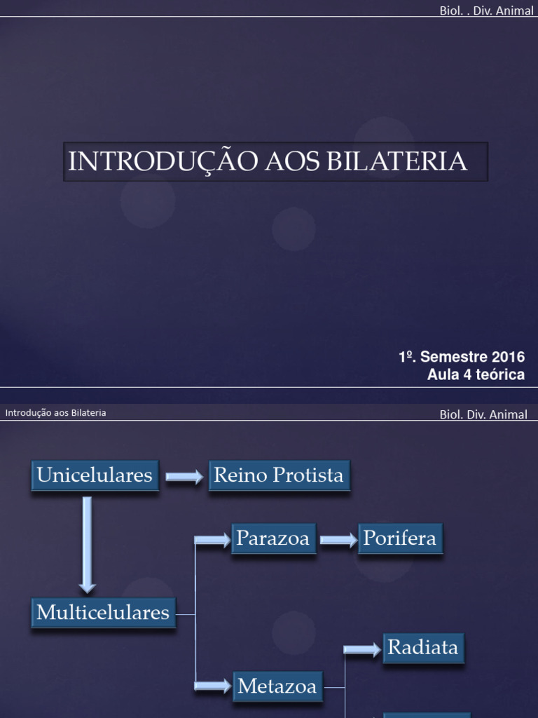 BDA 2016 Aula 4 Introd Bilateria | PDF | Organismos | Biologia