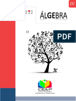 Álgebra para Principiantes: Guía Completa | PDF | Álgebra | Ecuaciones