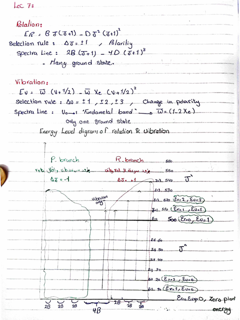 دكتور عادل lec 7 | PDF