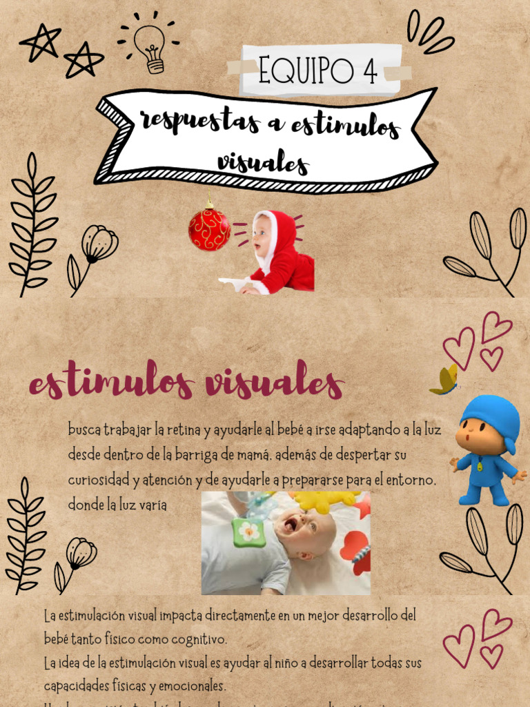 Respuestas A Estimulos Visuales | PDF | Percepción visual | Cerebro